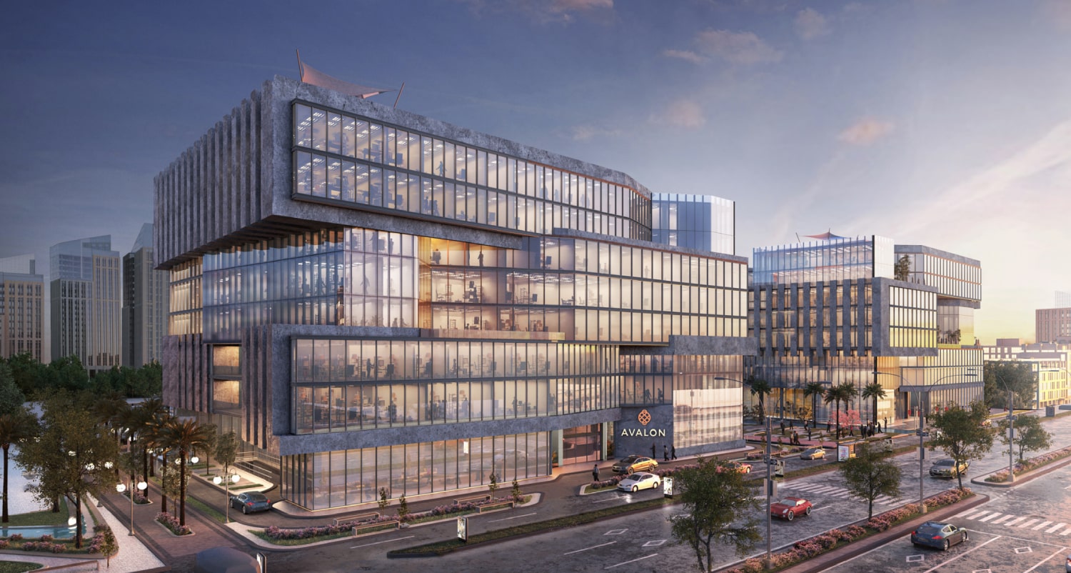 Avalon New Capital - Investwell